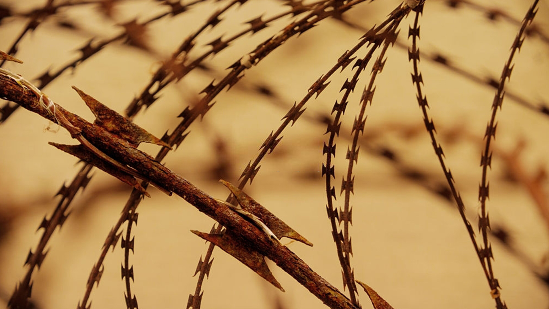 එකම බිමක - සමීර සඳරුවන් · Wachana